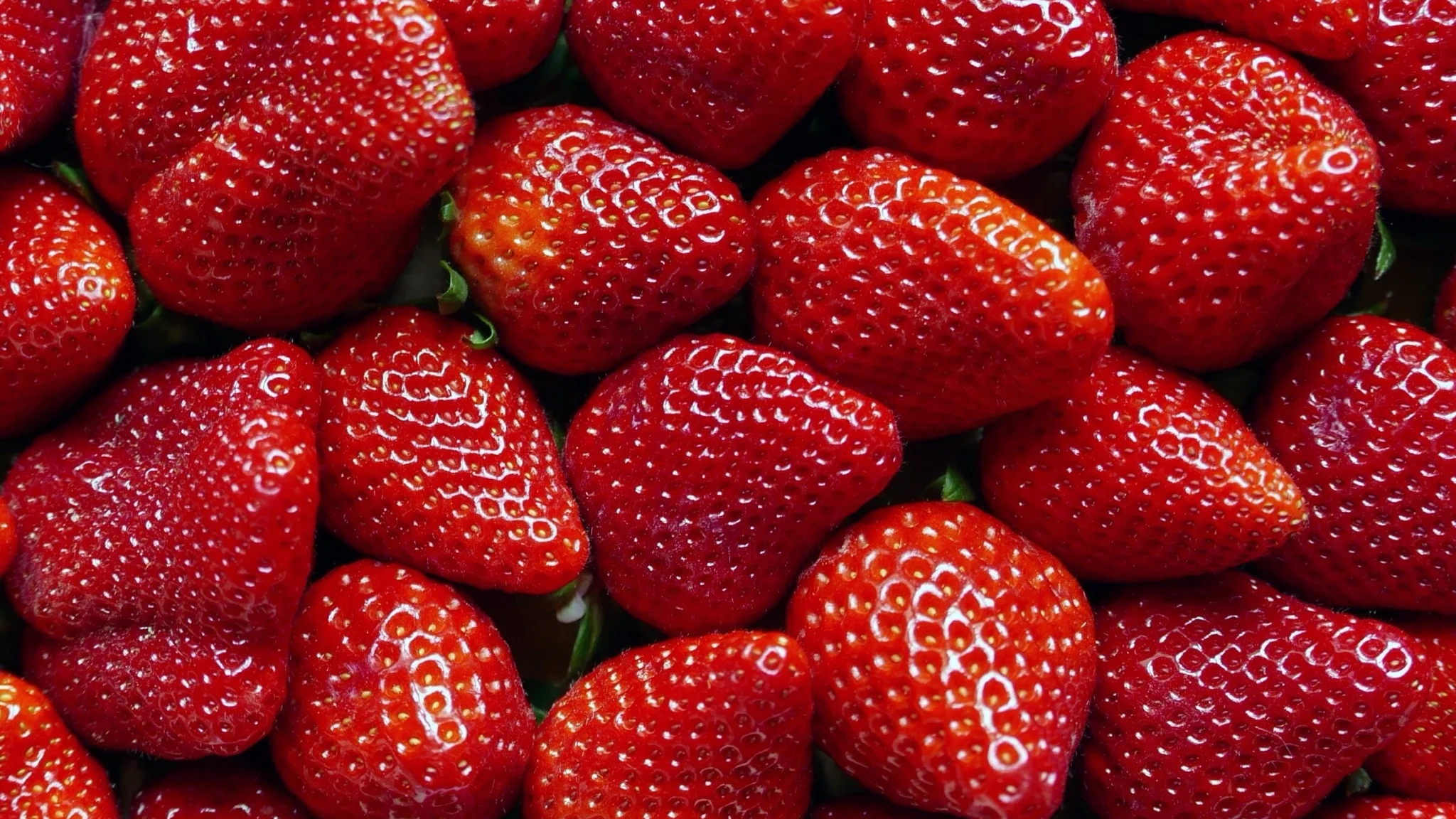 Strawberries In Sri Lanka Price And Recommendations